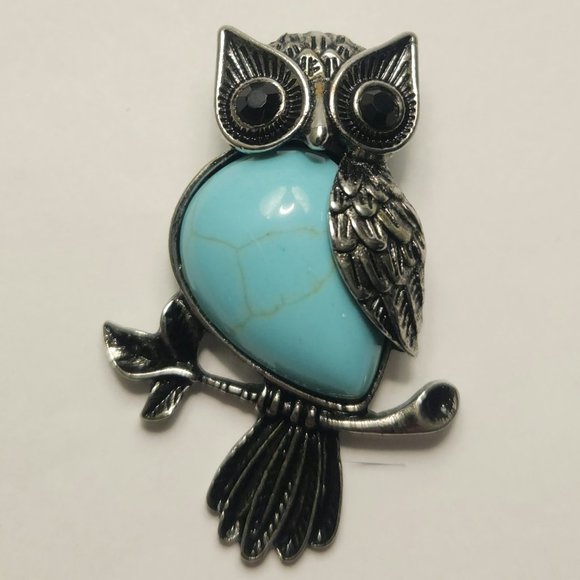 Fengshuibringluck | Jewelry | Nwt Turquoise Owl Pendant Necklace ...